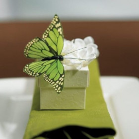 Savon papillon dans son étui, un cadeau d'invités champêtre